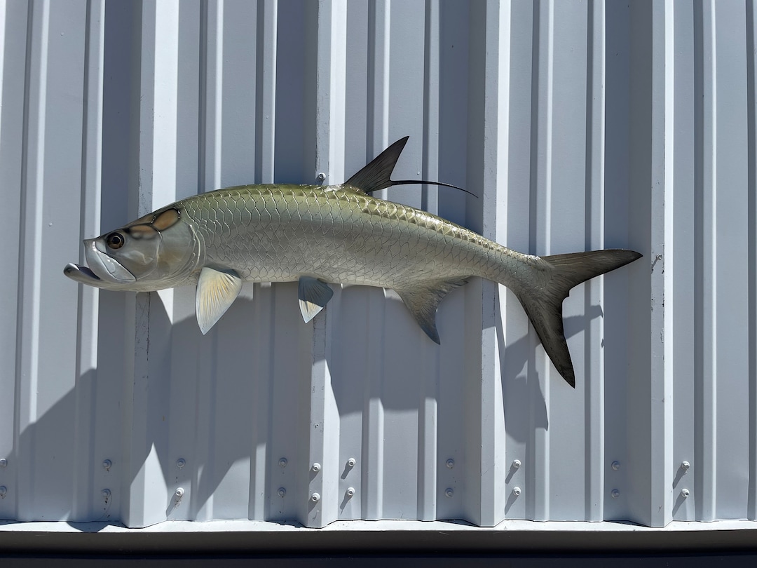 Tarpon Fish Mount - 40 Inches - Half Mount - Etsy