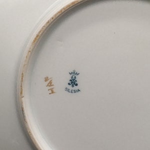 Vintage, Silesia, Porcelain, Plate, Germany, Butterfly, Design, Thread ...