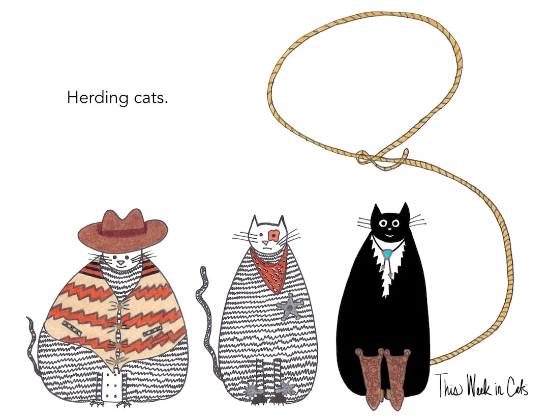 Funny Herding Cats Card – Western Cowboy Art - Etsy