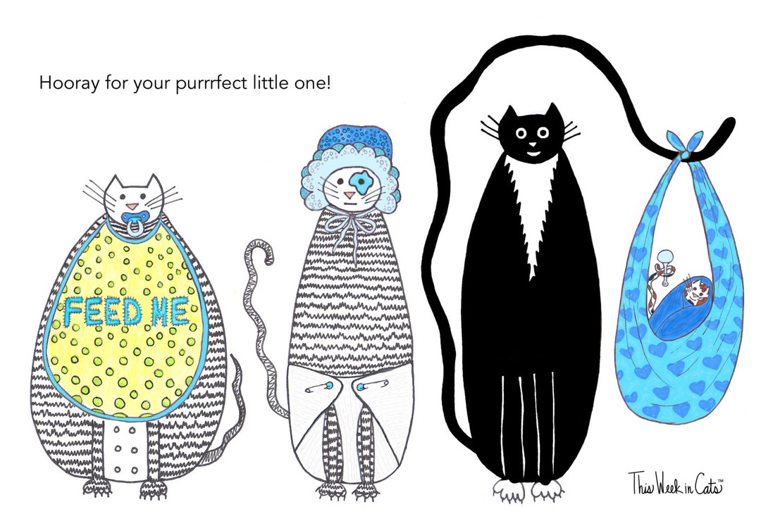 Cat Card Baby Boy Shower Congratulations Cats Blue Bib - Etsy