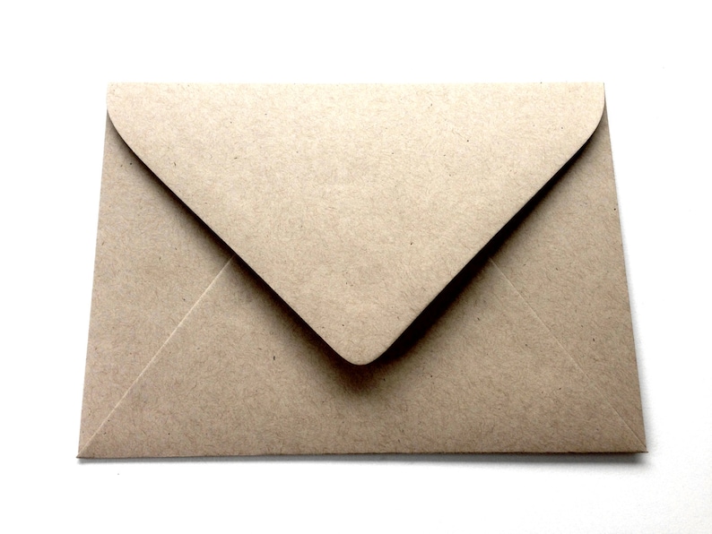 Cat Card- Beast Mode Football Cats Funny Cat Seahawks 12th Man - Etsy