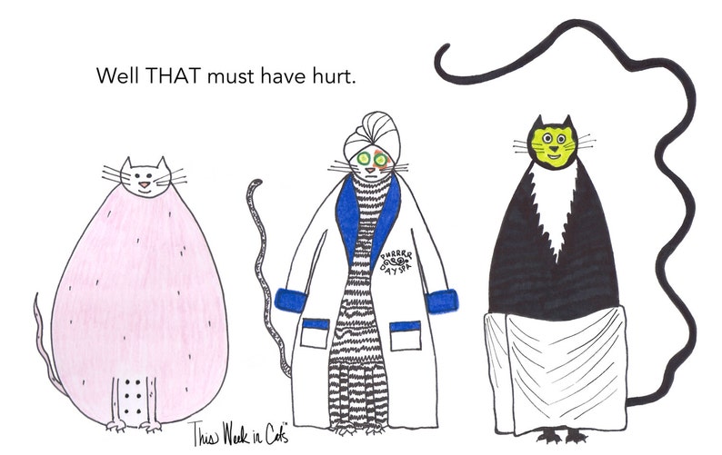 Cat Card- Spa Cats Brazilian Funny Card Funny Cat Card Relax Mud Mask ...