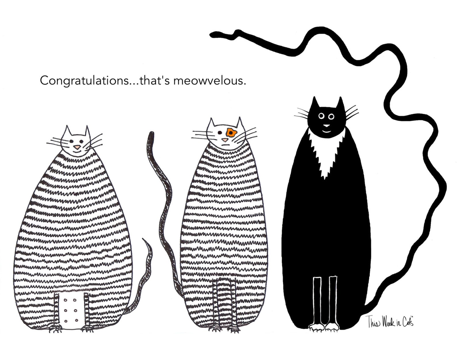 Cat Card - Congratulations Meowvelous Funny Cats Three Cats Tabby Cat ...