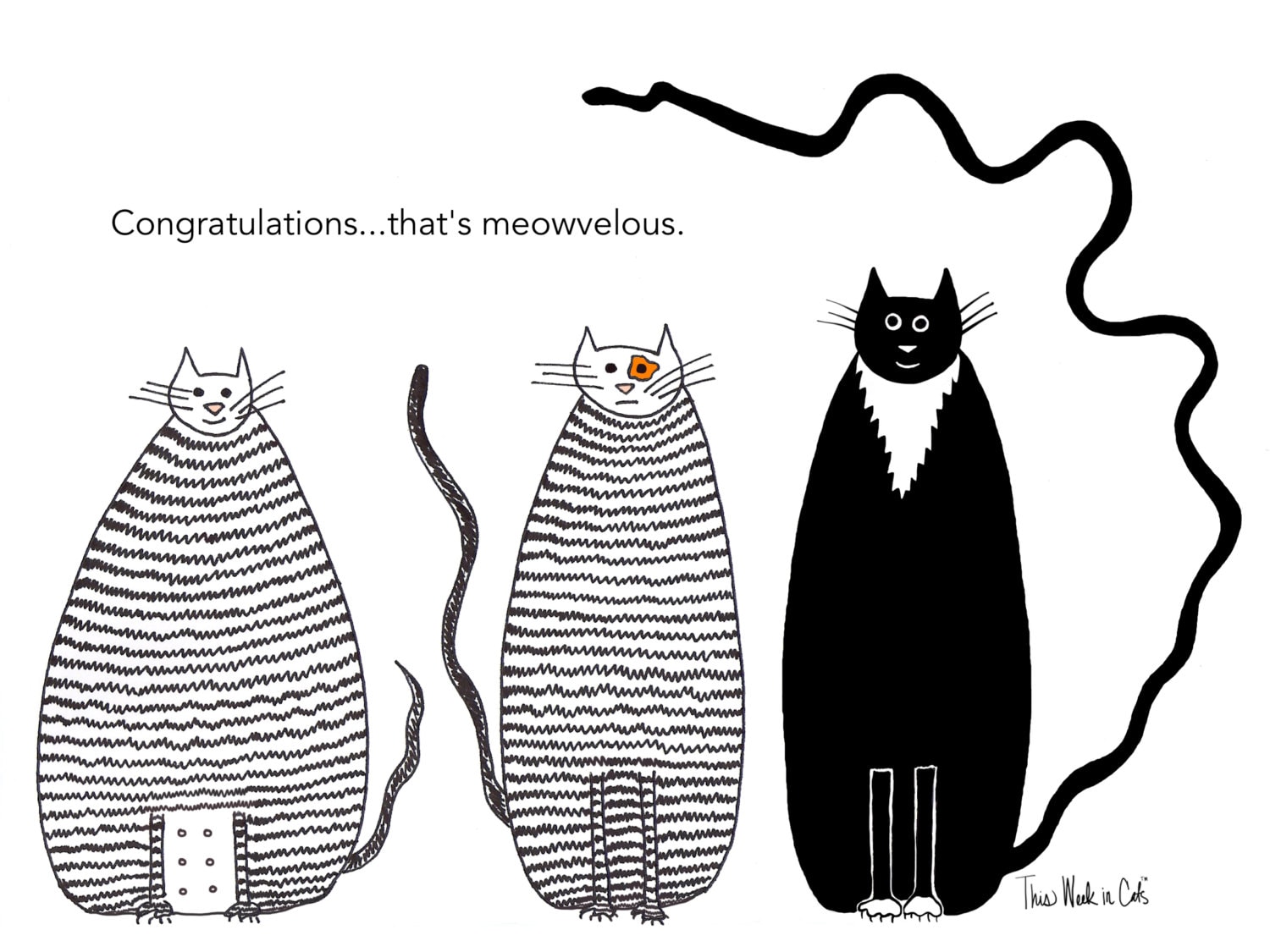 Cat Card - Congratulations Meowvelous Funny Cats Three Cats Tabby Cat ...
