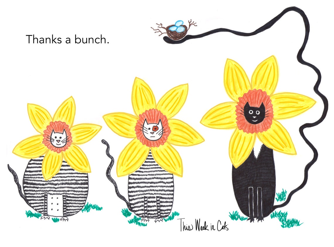 Cat Card Funny Thank You Thanks Flower Cat Funny Spring - Etsy