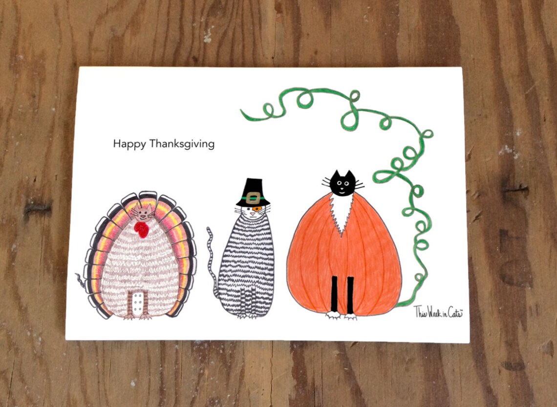 Cat Card - Happy Thanksgiving Funny Cats Three Cats Turkey Pilgrim ...