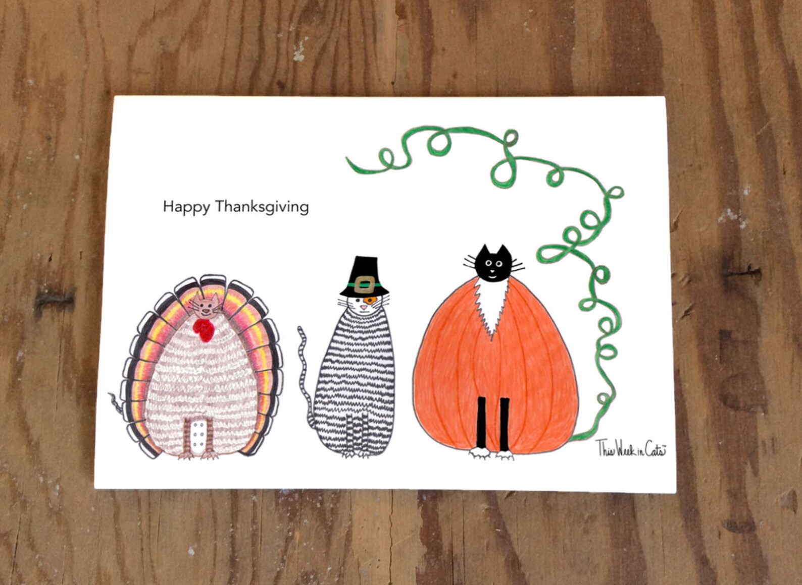 Cat Card - Happy Thanksgiving Funny Cats Three Cats Turkey Pilgrim ...