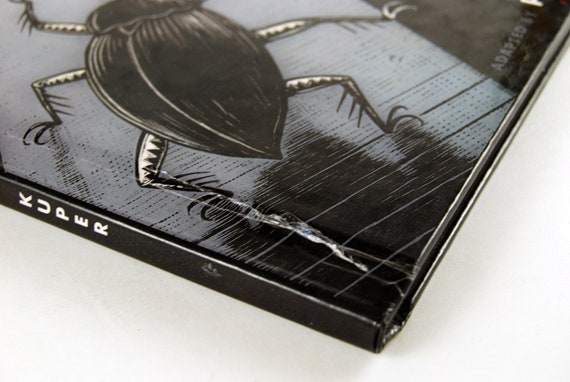 Metamorphosis Kafka Graphic Novel