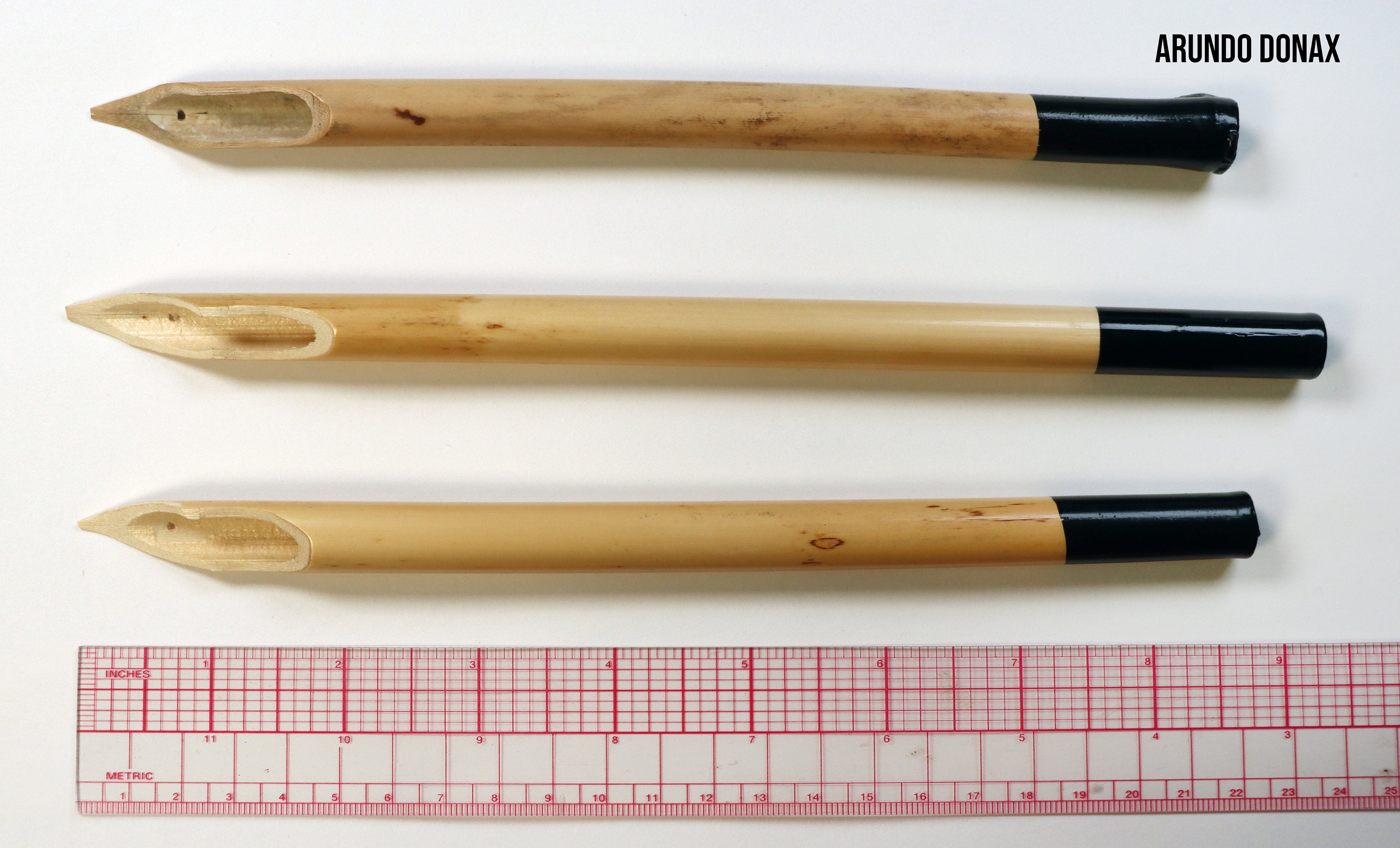 Reed Pens Arundo Donax Giant Reed for Drawing 3 Hand Crafted Pens 6- 8 ...
