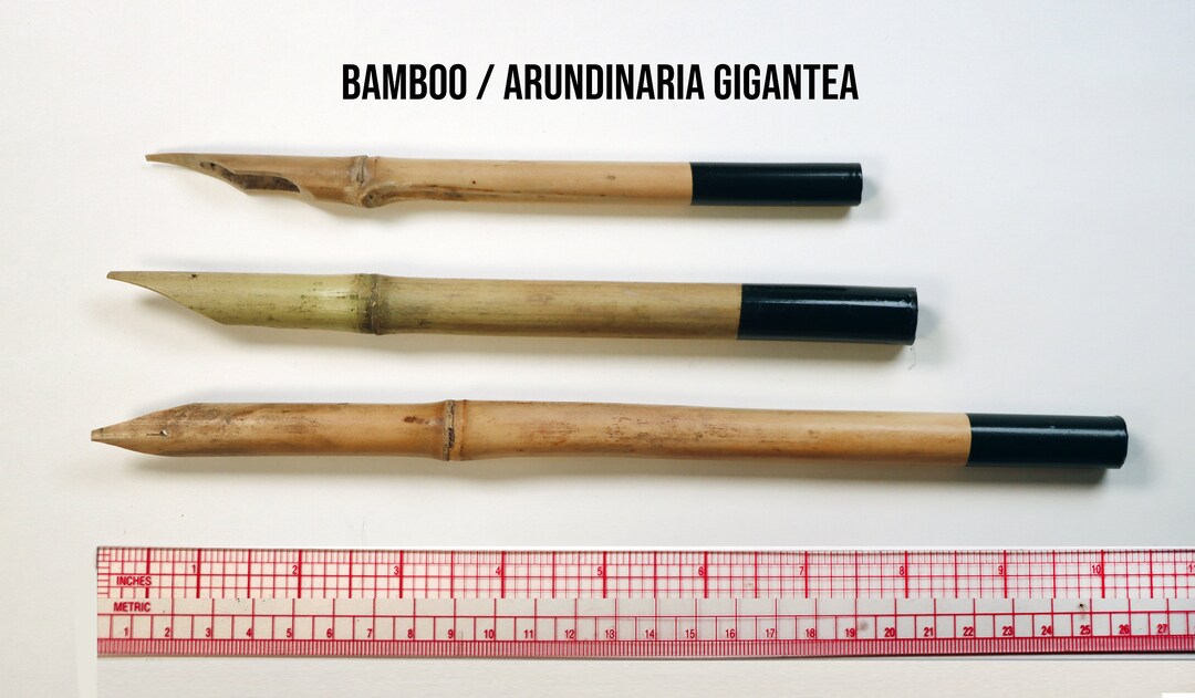 Reed Pens Bamboo Arundinaria Gigantea for Drawing 3 Hand Crafted Pens 6 ...