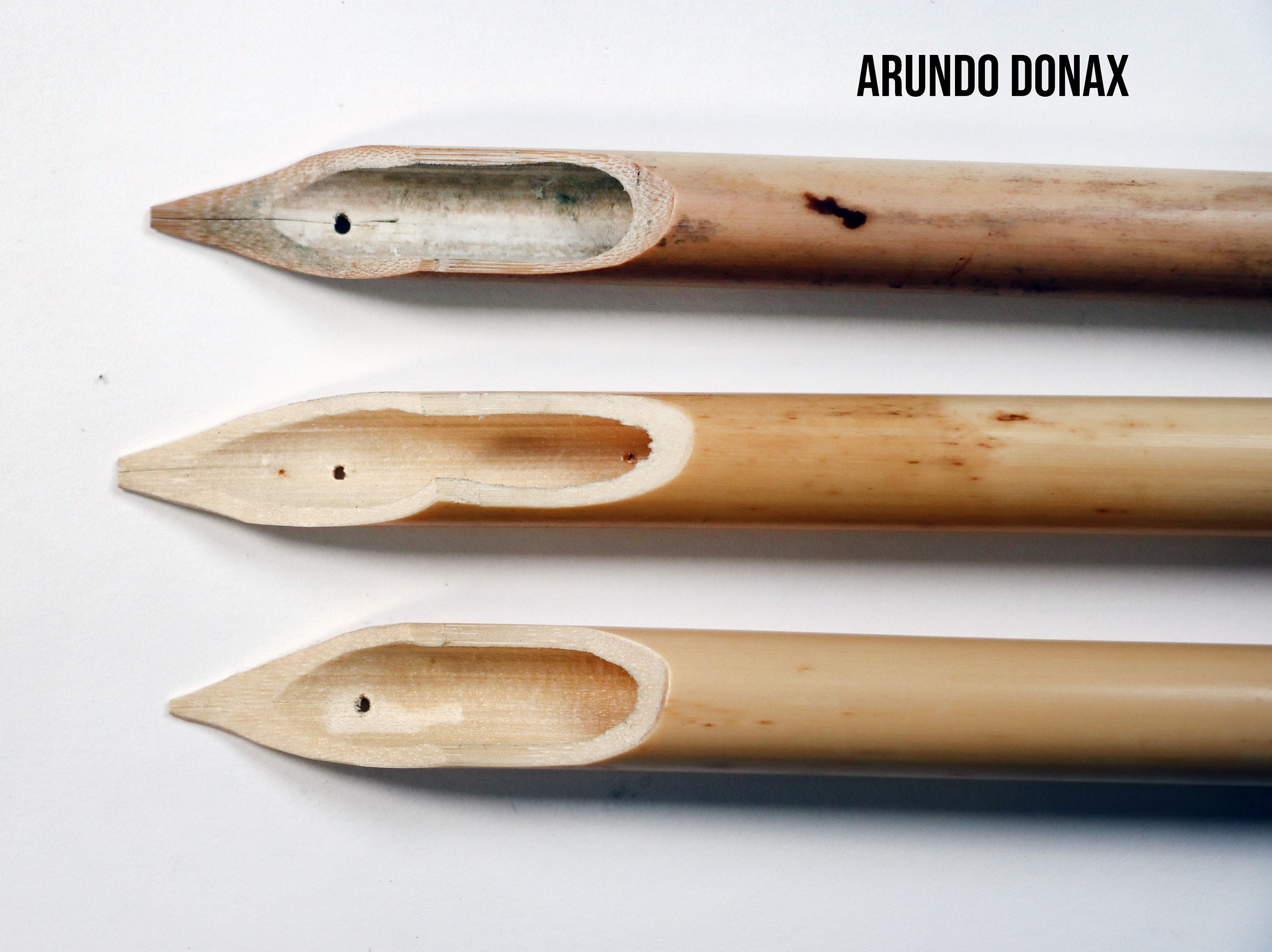 Reed Pens Arundo Donax Giant Reed for Drawing 3 Hand Crafted Pens 6- 8 ...