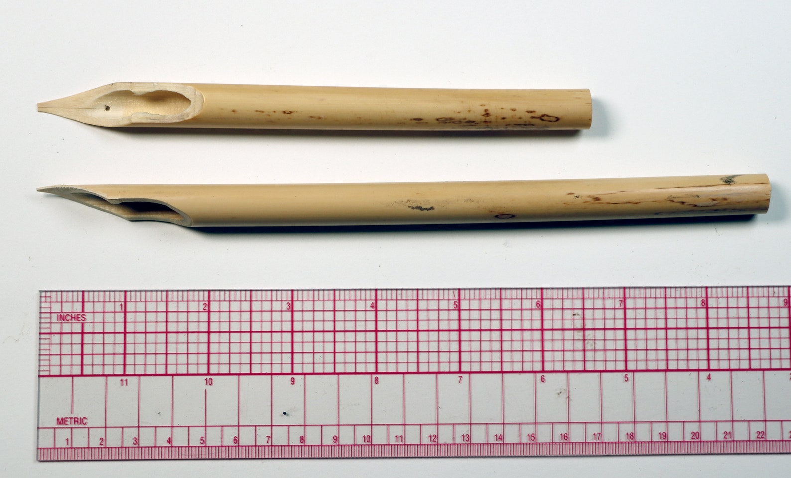 Reed Pens Master3 Phragmites Australis, Arundo Donax, and Bamboo ...