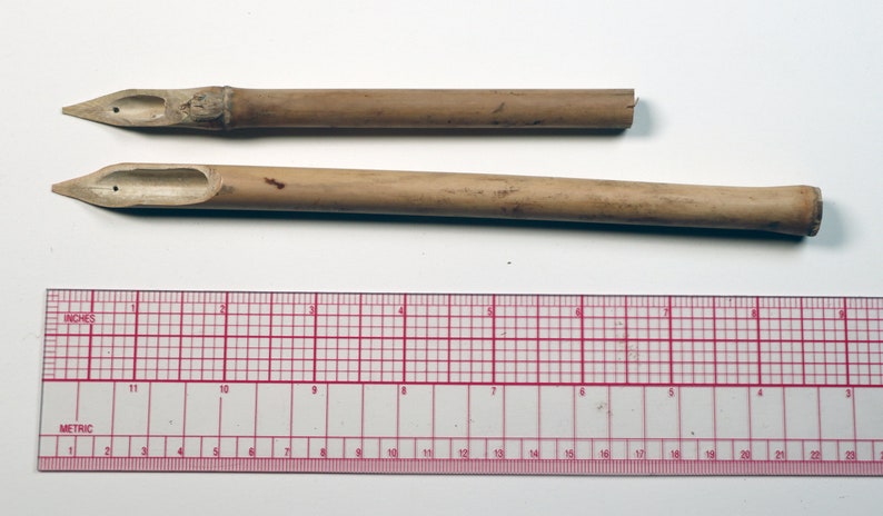 Reed Pens Master3 Phragmites Australis, Arundo Donax, and Bamboo ...