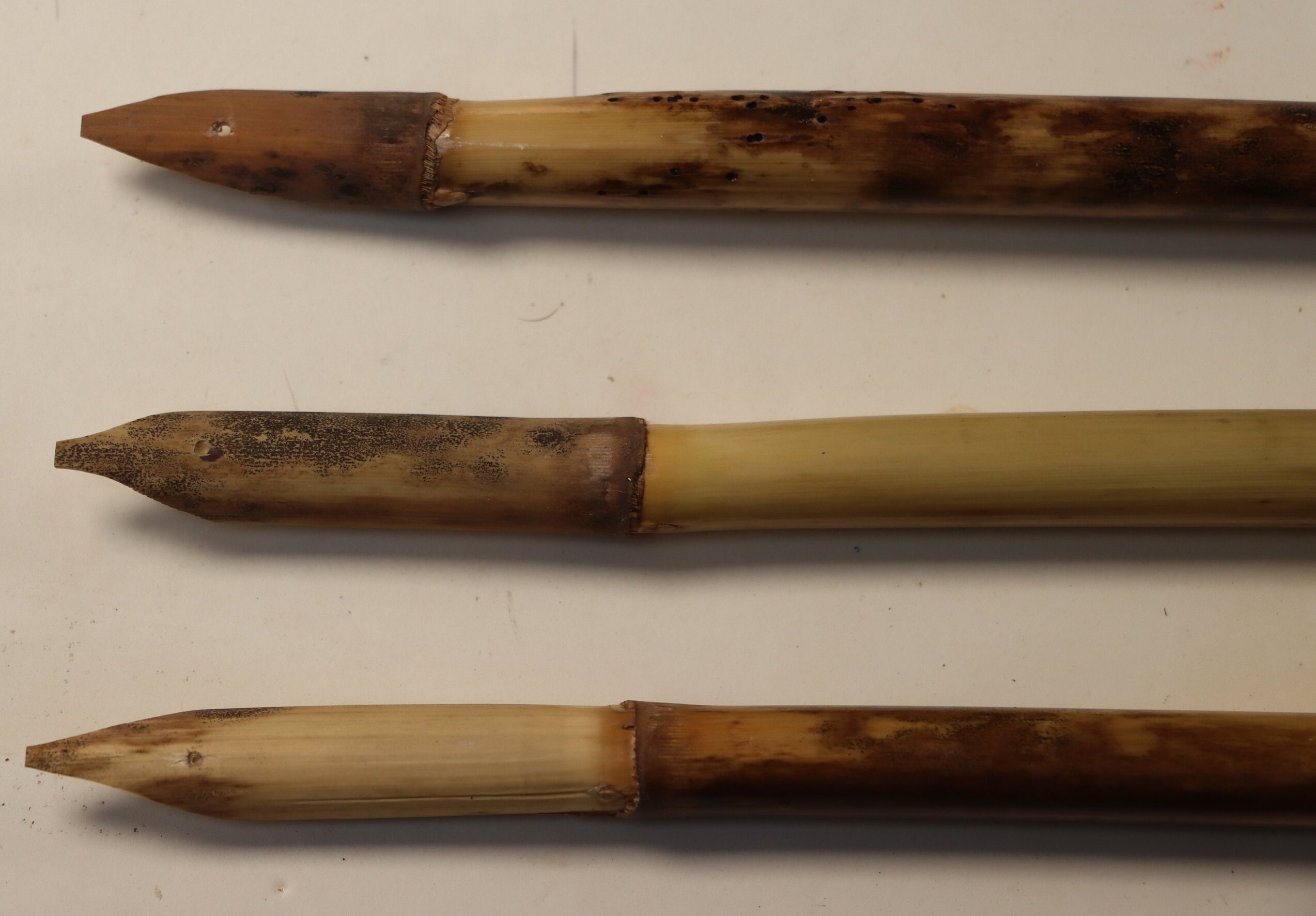 Reed Pens Phragmites Australis for Drawing 3 Hand Crafted Pens - Etsy