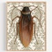 Cockroach - Art Print | Art Nouveau Wallpaper, Home Decor, Roach ...