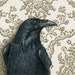 Raven Note Card | Blank All Occasion Greeting Card | A2 Stationary ...
