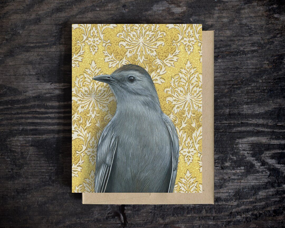 Catbird Note Card | Blank All Occasion Greeting Card, A2 Stationary ...