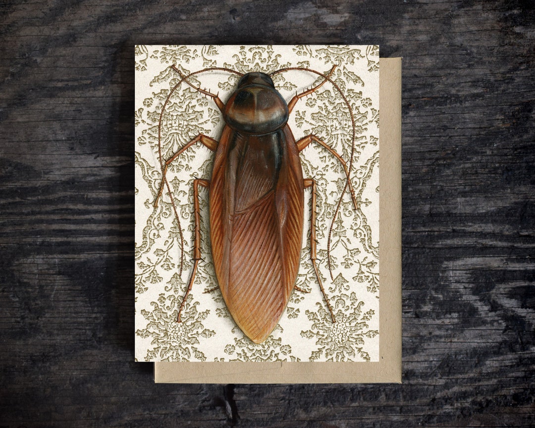 Cockroach Note Card | Blank All Occasion Greeting Card | A2 Stationary ...