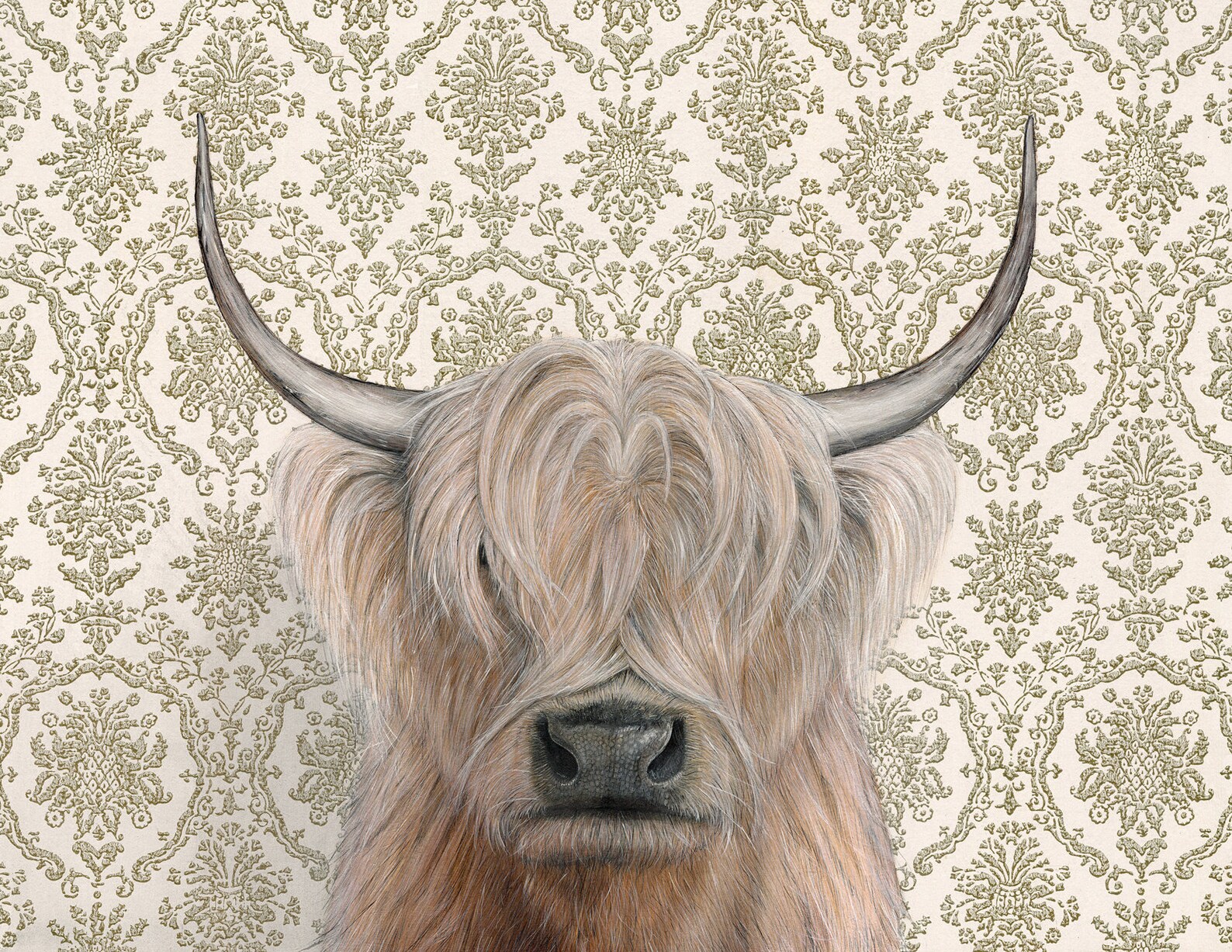 Highland Cow Note Card | Blank All Occasion Greeting Card | A2 ...