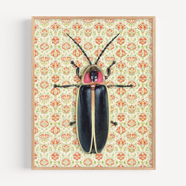 Insect Wall Art - Etsy