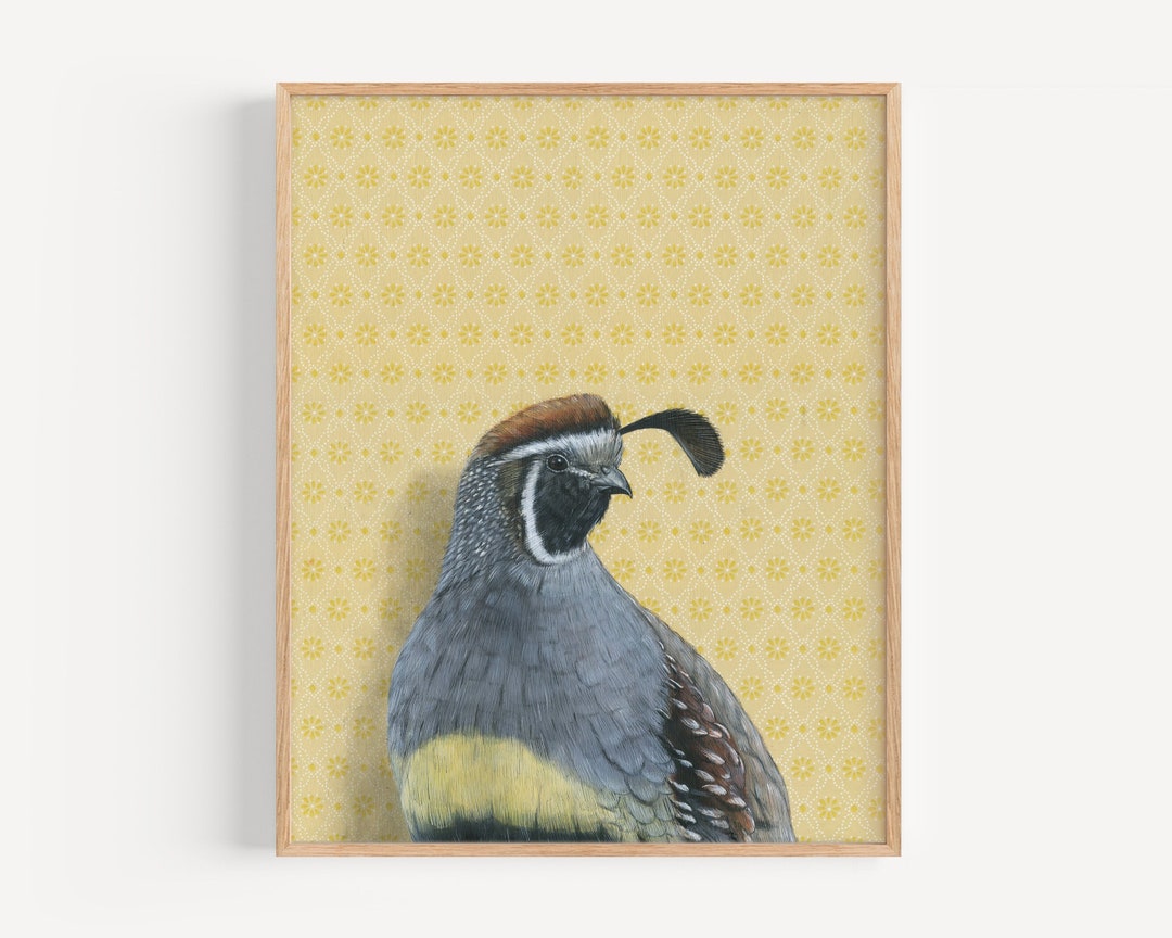 Quail - Art Print | Gambel's Quail, Oil Painting Reproduction, Vintage ...