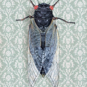 17-year Cicada - Art Print | Realistic Oil Painting Reproduction ...