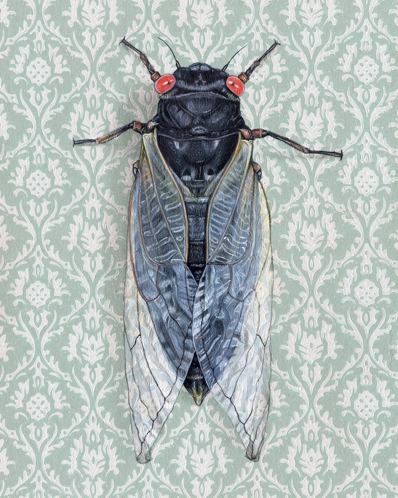 17-year Cicada Art Print Realistic Oil Painting - Etsy