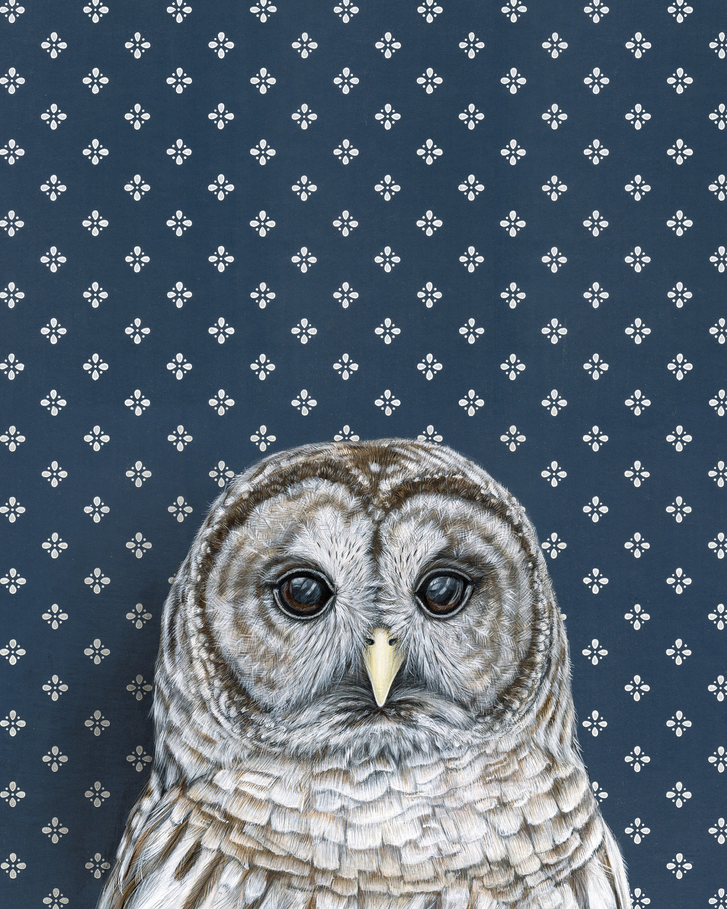 Owl Wallpaper Pattern Vintage