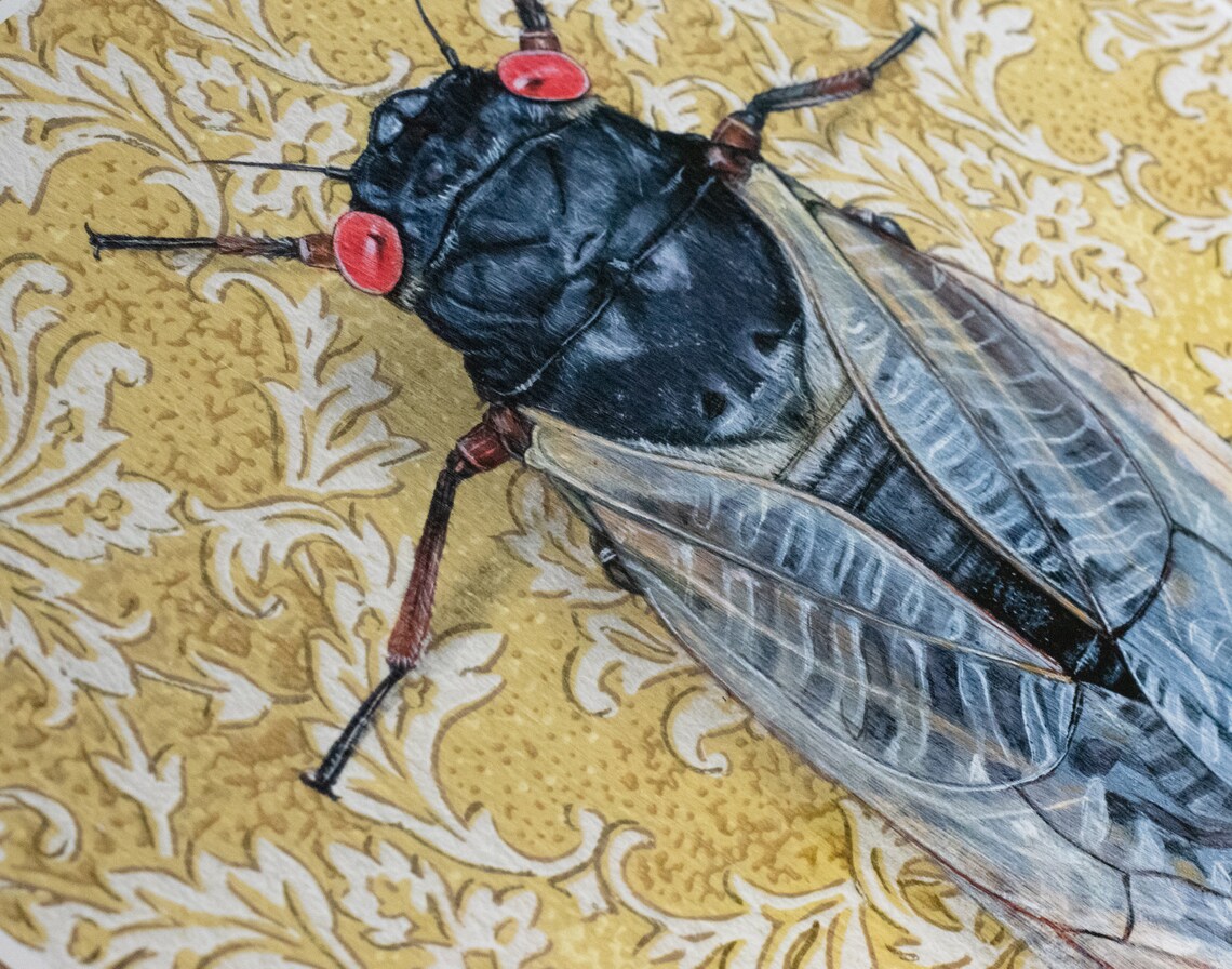 17 Year Cicada Art Print Realistic Oil Painting - Etsy
