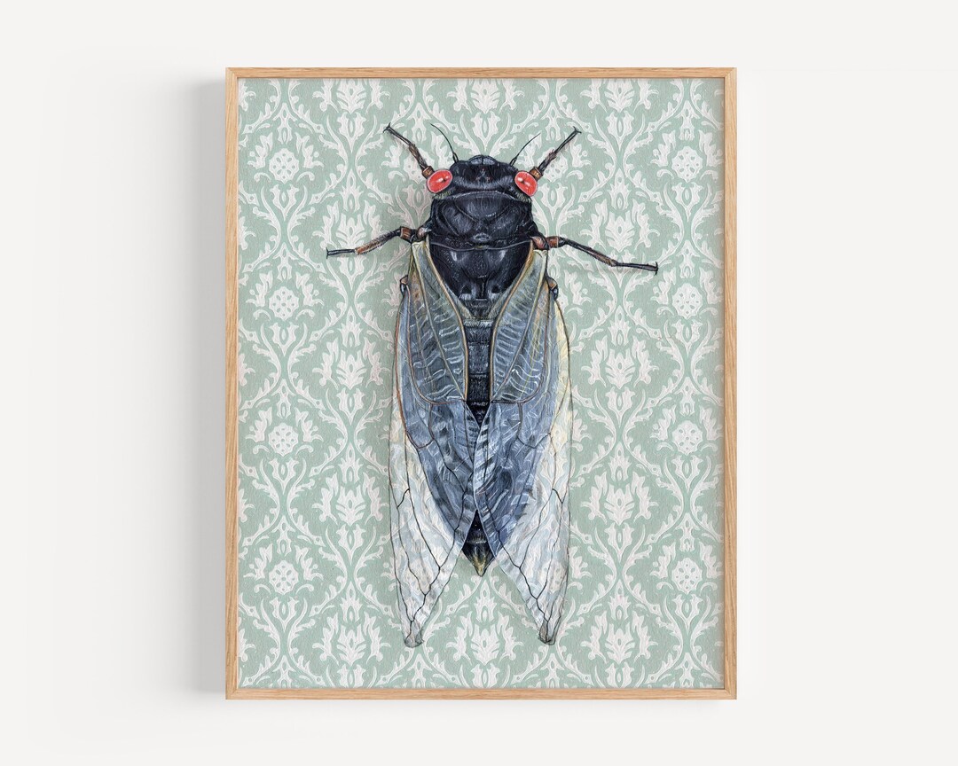 17-year Cicada - Art Print | Realistic Oil Painting Reproduction ...