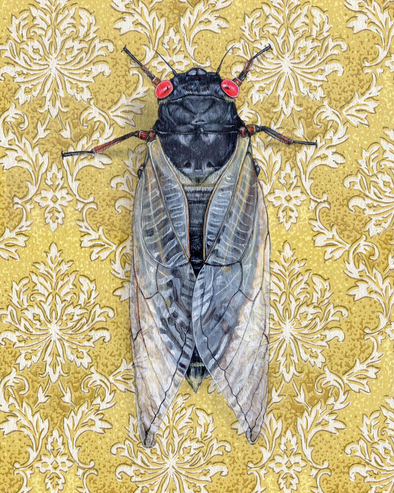 17 Year Cicada Art Print Realistic Oil Painting - Etsy