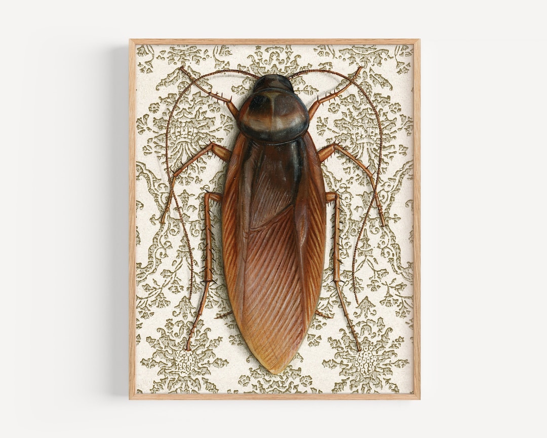 Cockroach - Art Print | Art Nouveau Wallpaper, Home Decor, Roach ...