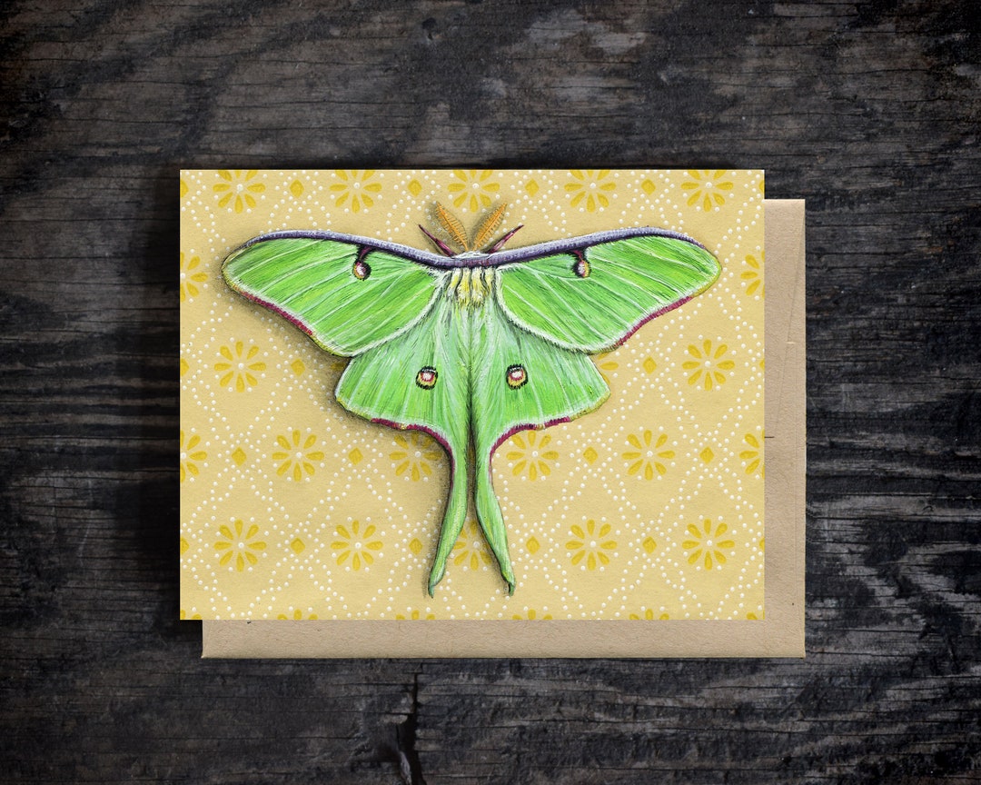 Luna Moth Note Card | Blank All Occasion Greeting Card, A2 Stationary ...