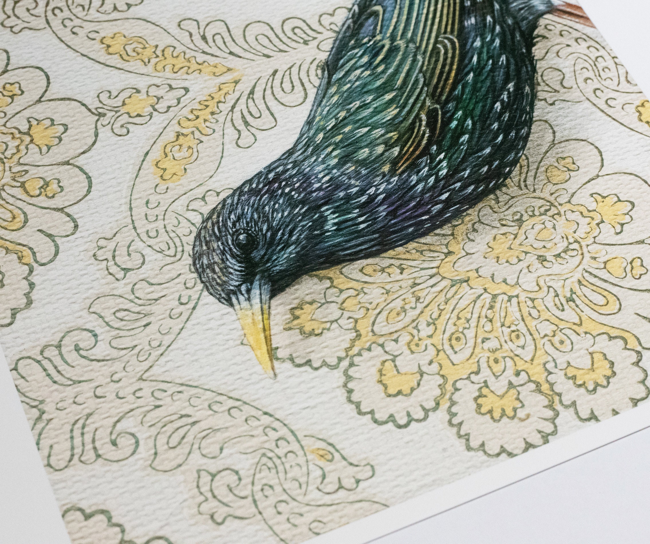 Starling Bird - Art Print | Vintage Art Nouveau Wallpaper, Home Decor ...