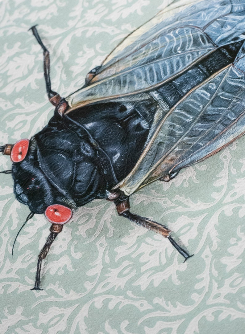 17-year Cicada Art Print Realistic Oil Painting - Etsy