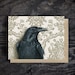 Raven Note Card | Blank All Occasion Greeting Card | A2 Stationary ...