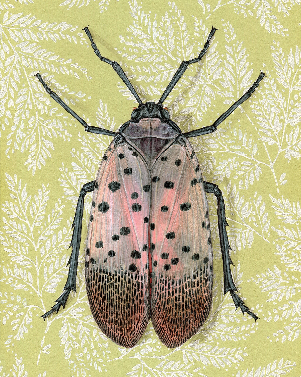Spotted Lanternfly - Art Print | Vintage Wallpaper Home Decor, Oddity ...