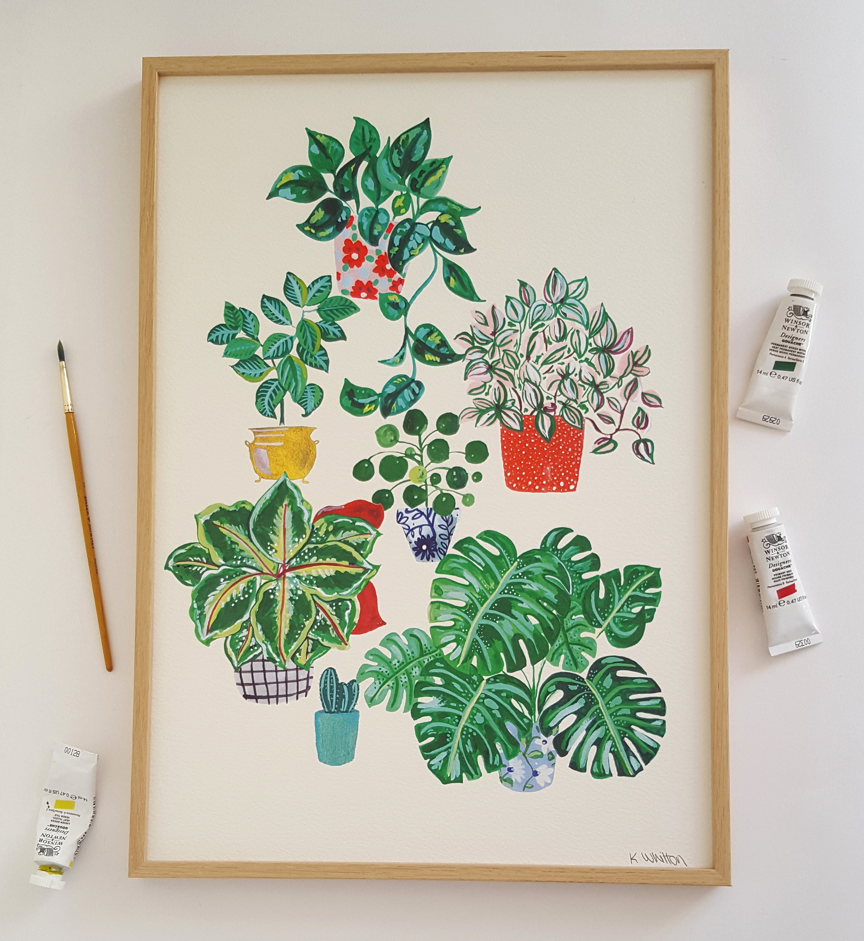 House Plant A3 Print | Etsy