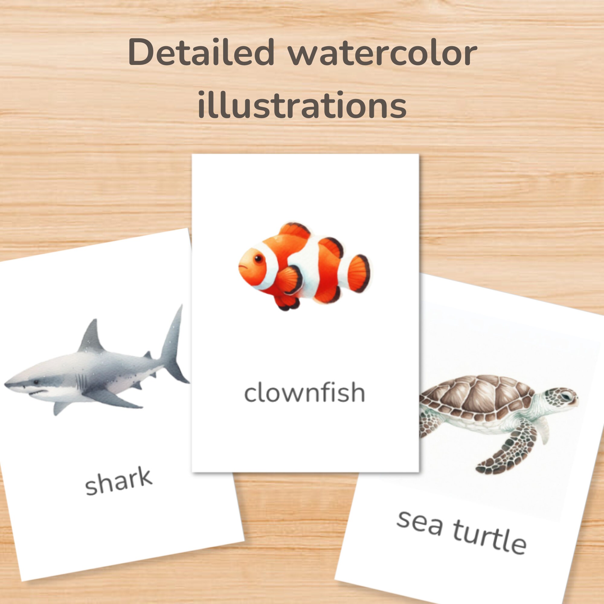 Ocean Animals Montessori Printable Flash Cards, Homeschooling Classroom ...