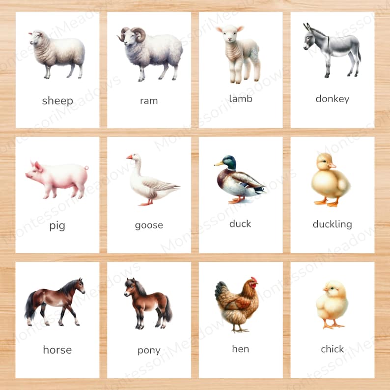 Farm Animals Montessori Printable Flash Cards, Homeschooling Classroom ...