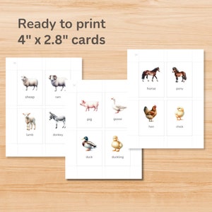 Farm Animals Montessori Printable Flash Cards, Homeschooling Classroom ...