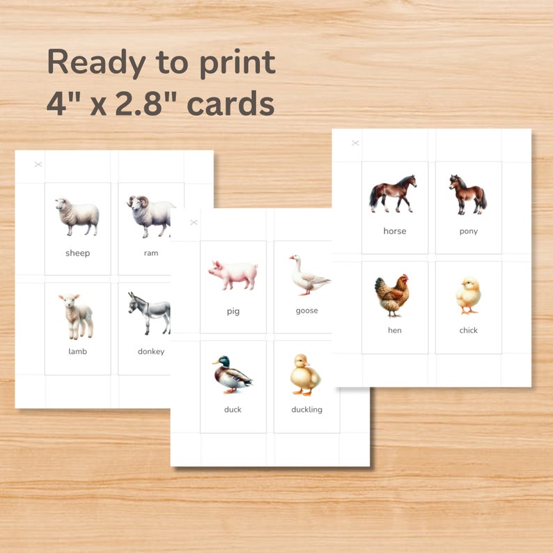 Farm Animals Montessori Printable Flash Cards, Homeschooling Classroom ...