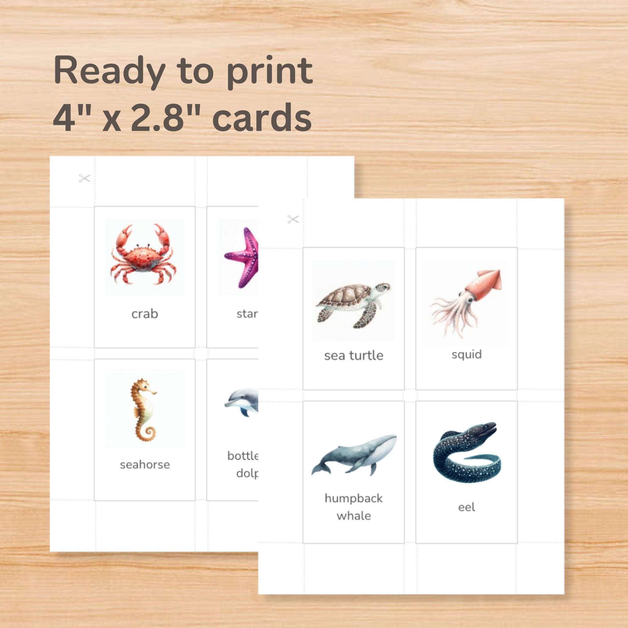 Ocean Animals Montessori Printable Flash Cards, Homeschooling Classroom ...
