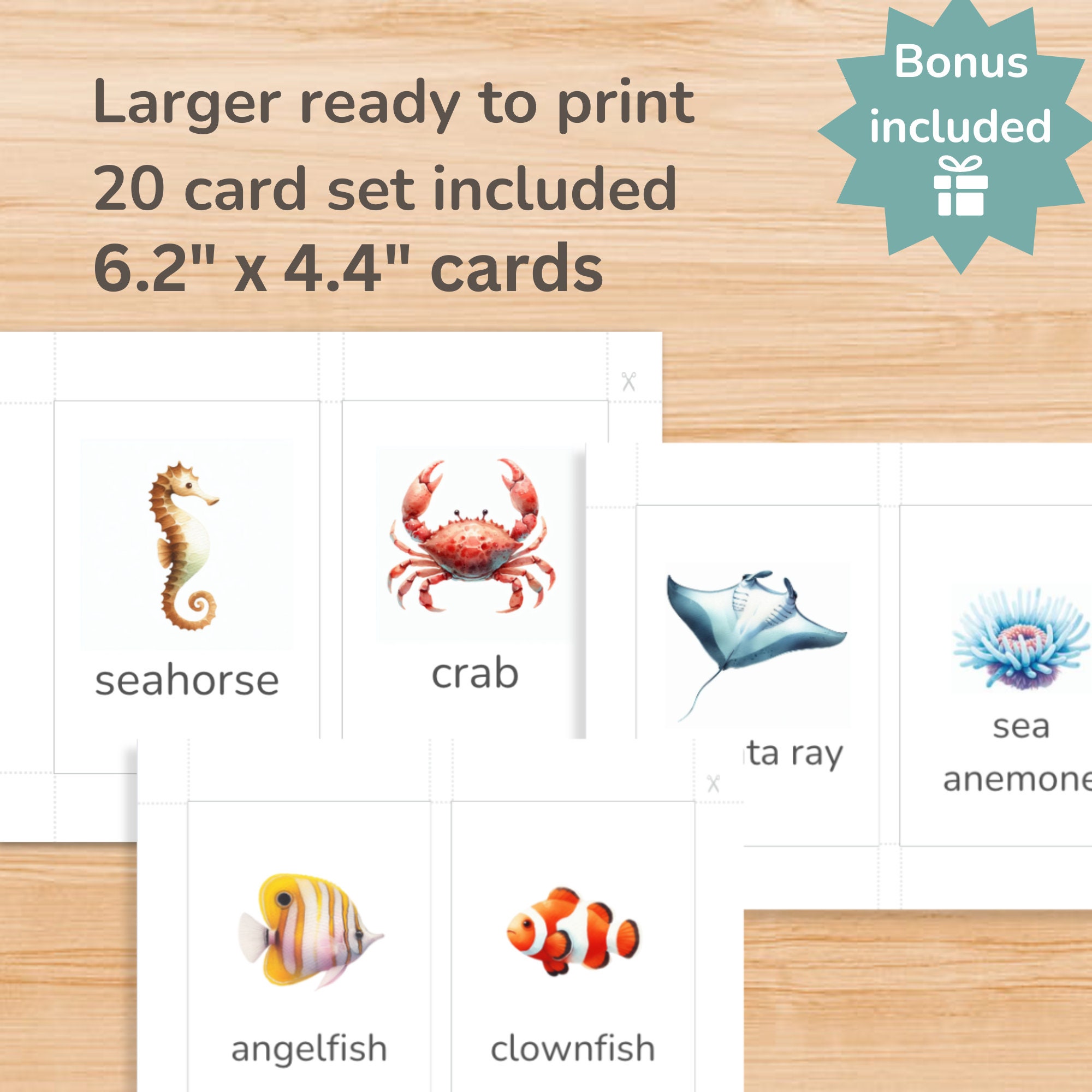 Ocean Animals Montessori Printable Flash Cards, Homeschooling Classroom ...