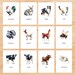 Farm Animals Montessori Printable Flash Cards, Homeschooling Classroom ...