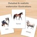 Farm Animals Montessori Printable Flash Cards, Homeschooling Classroom ...