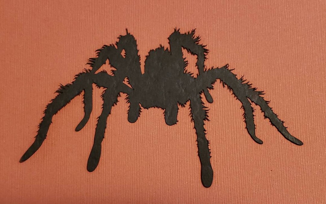 Tarantula Die Cut Shape - Etsy