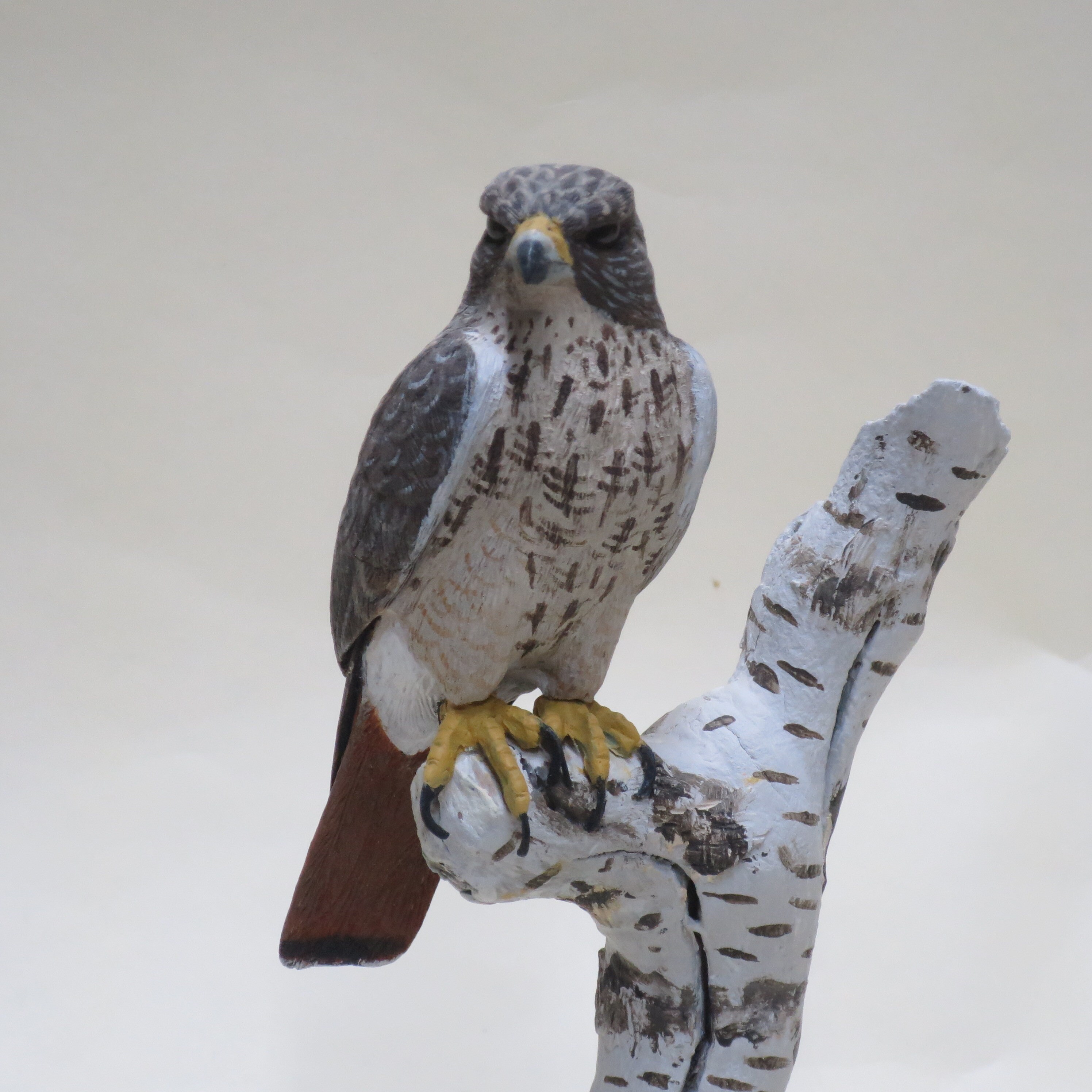 Red-tailed Hawk - Etsy
