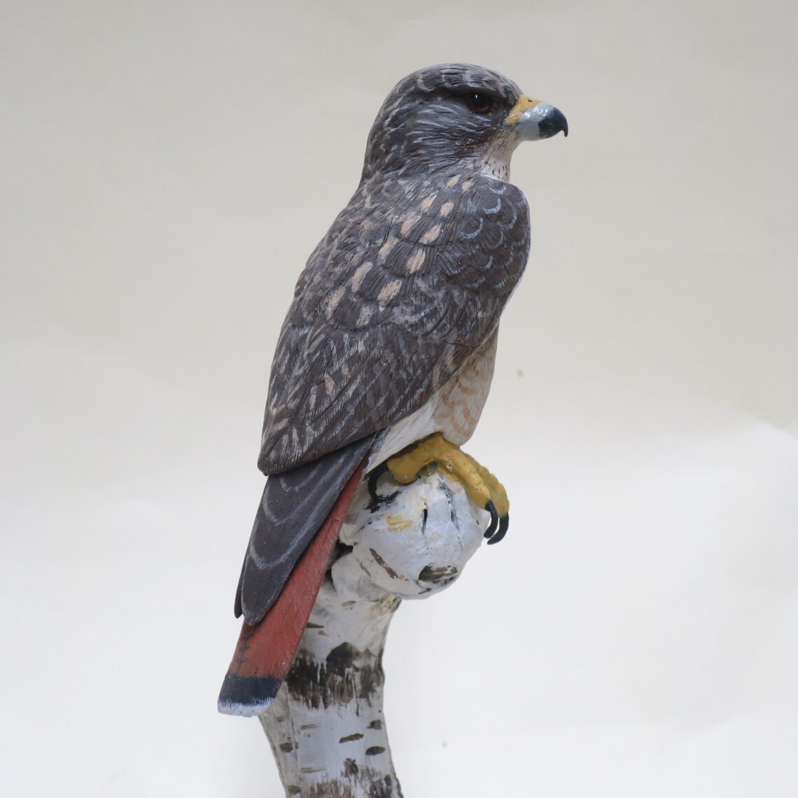 Red-tailed Hawk - Etsy