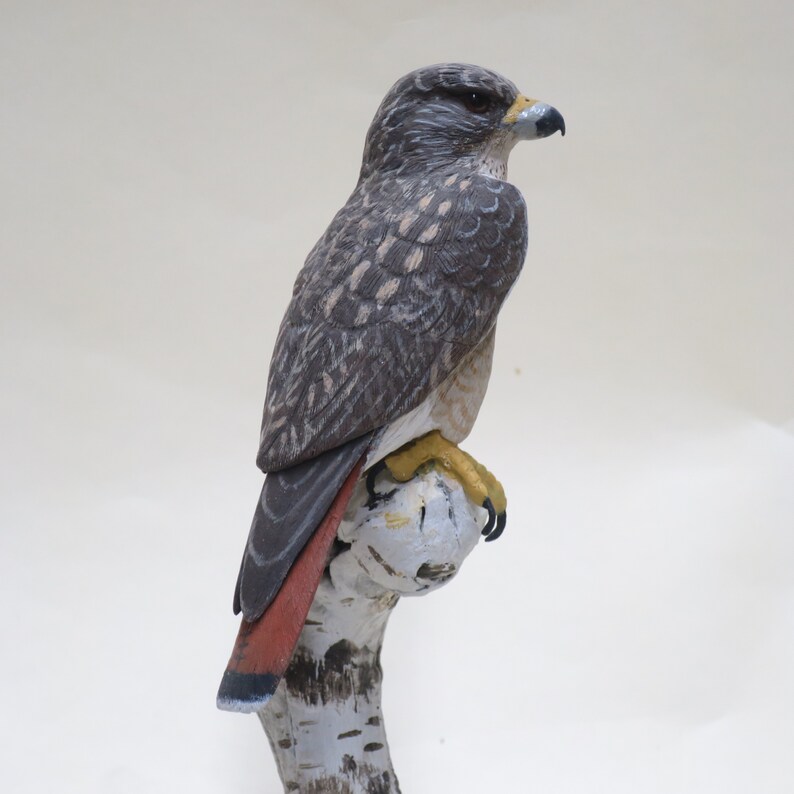 Red-tailed Hawk - Etsy